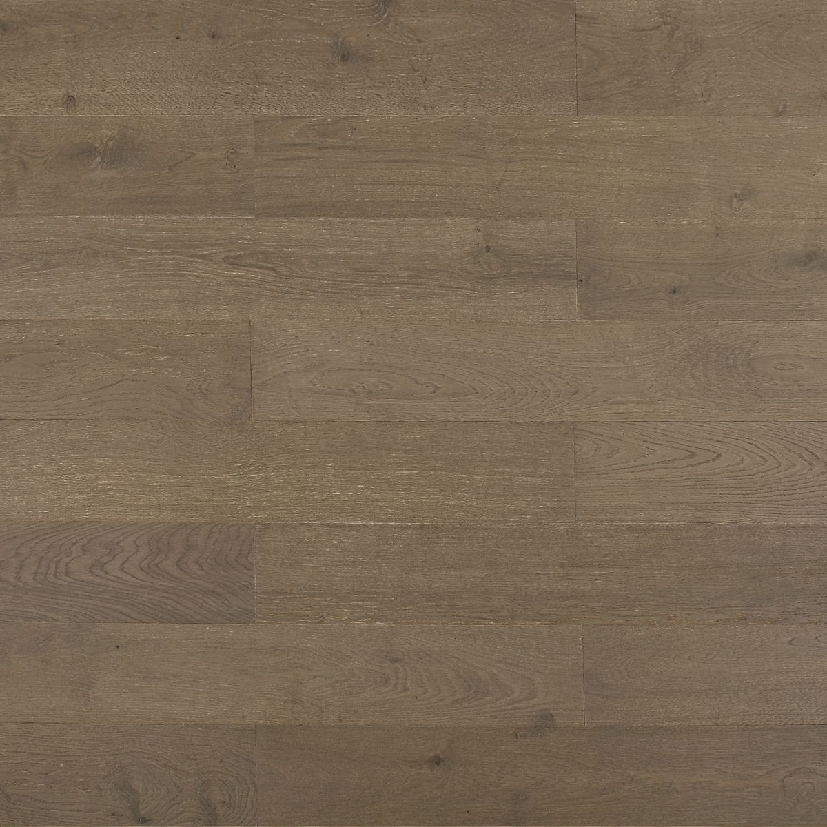 Project Oak Collection | Marrone Oak – Tilewave