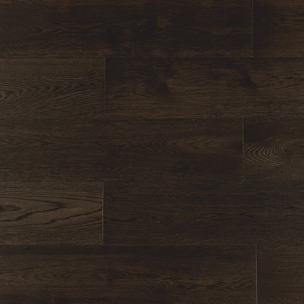 Lavanda Euro Oak Engineered | Camden Oak – Tilewave