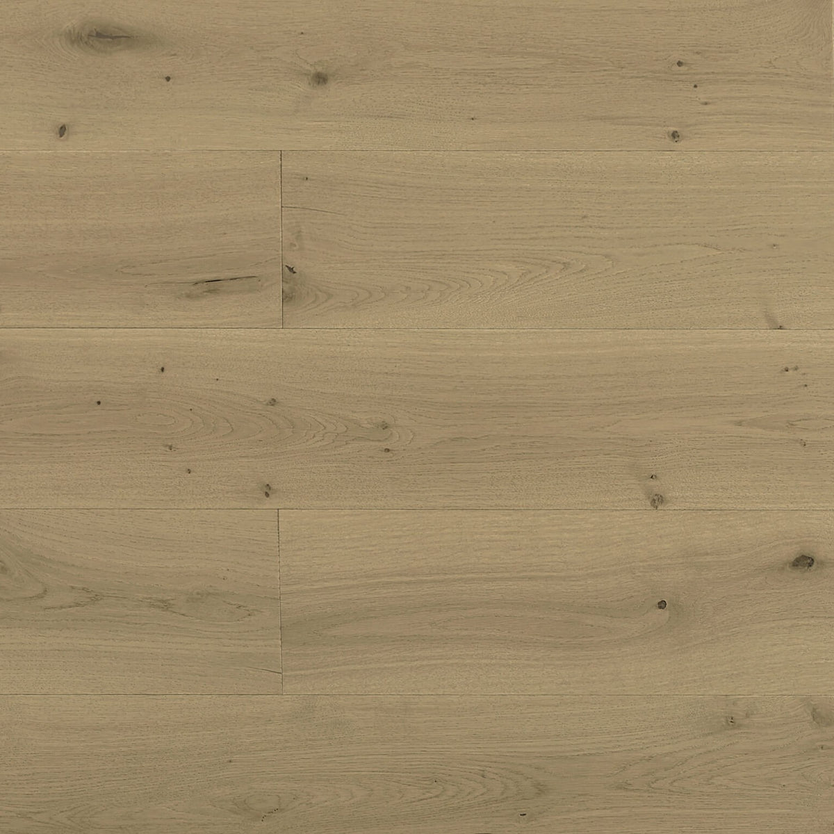 Lavanda Euro Oak Engineered | Champagne – Tilewave