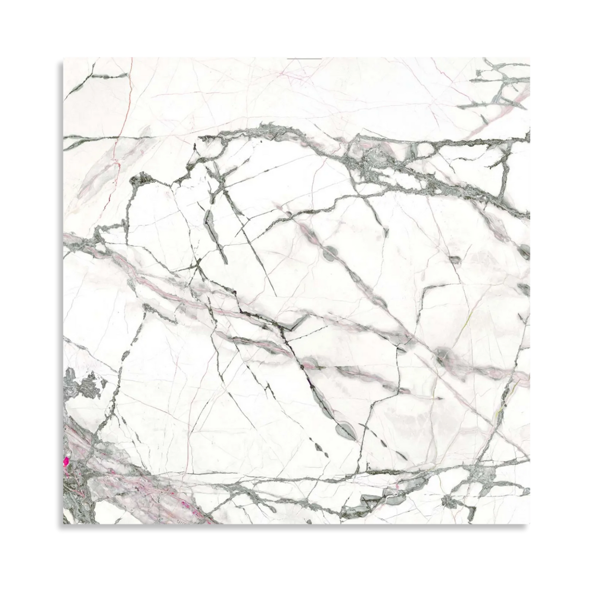 Florence Collection Cellini Matt Tile – Tilewave