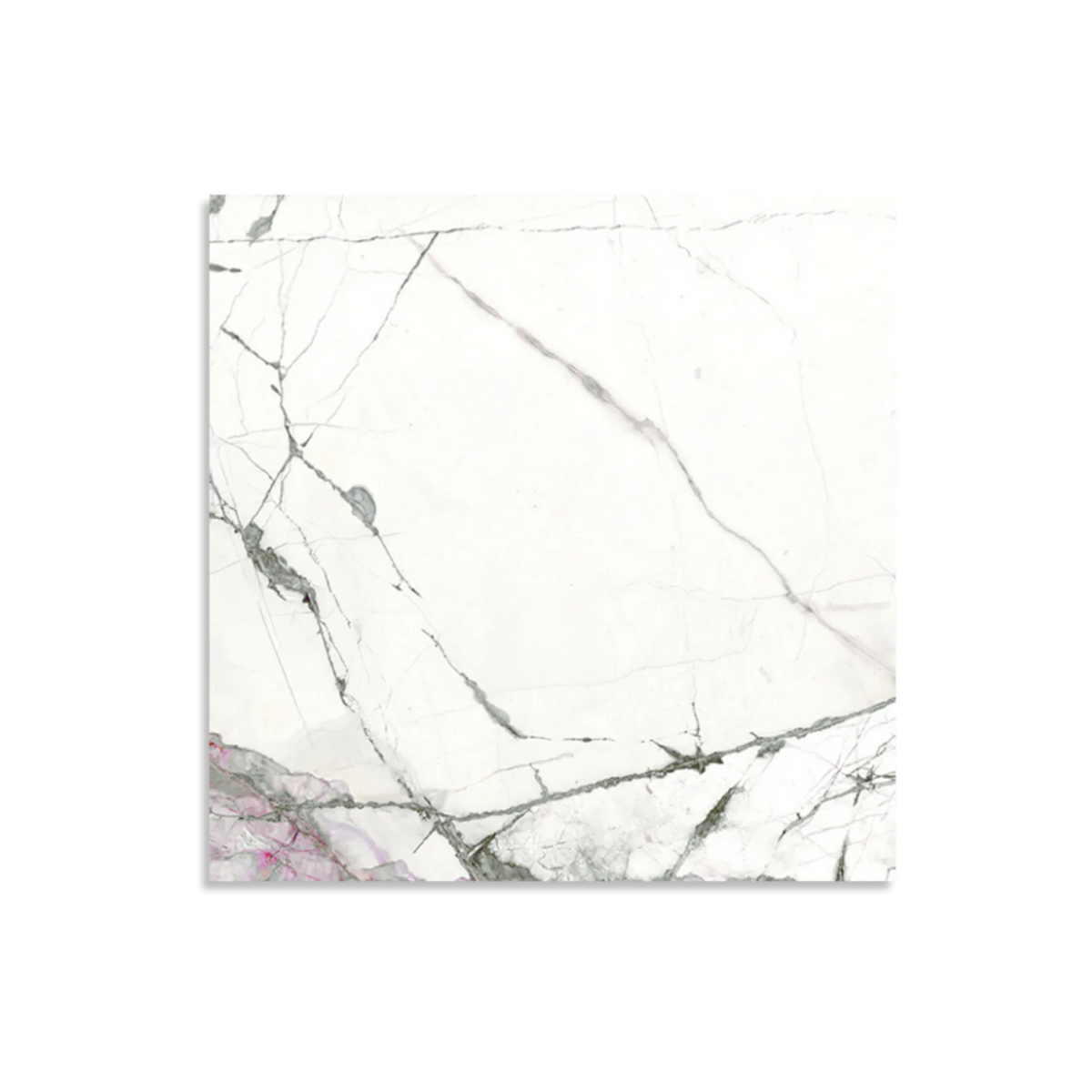 Florence Collection Cellini Matt Tile – Tilewave