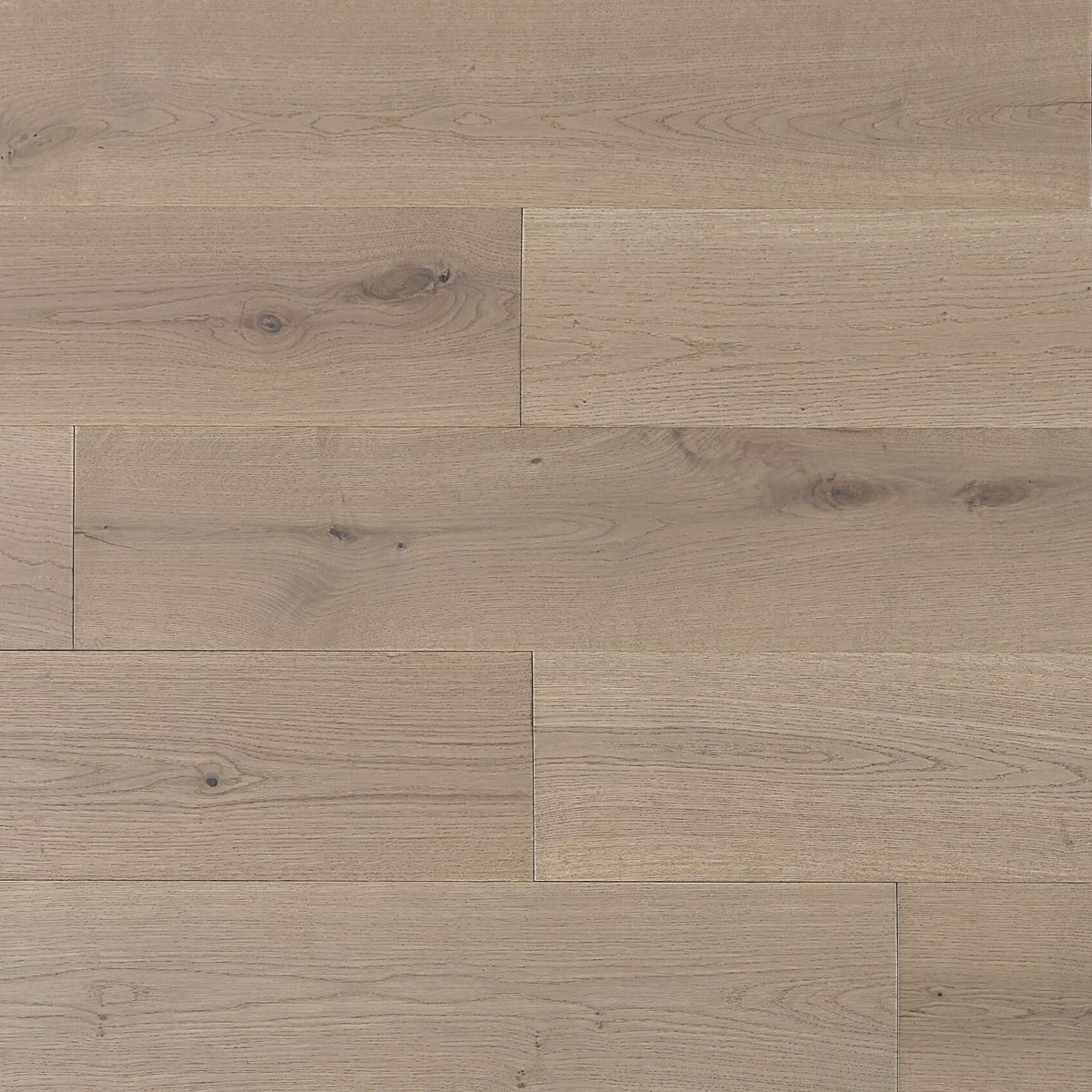 Lavanda Euro Oak Engineered | Panania Oak – Tilewave